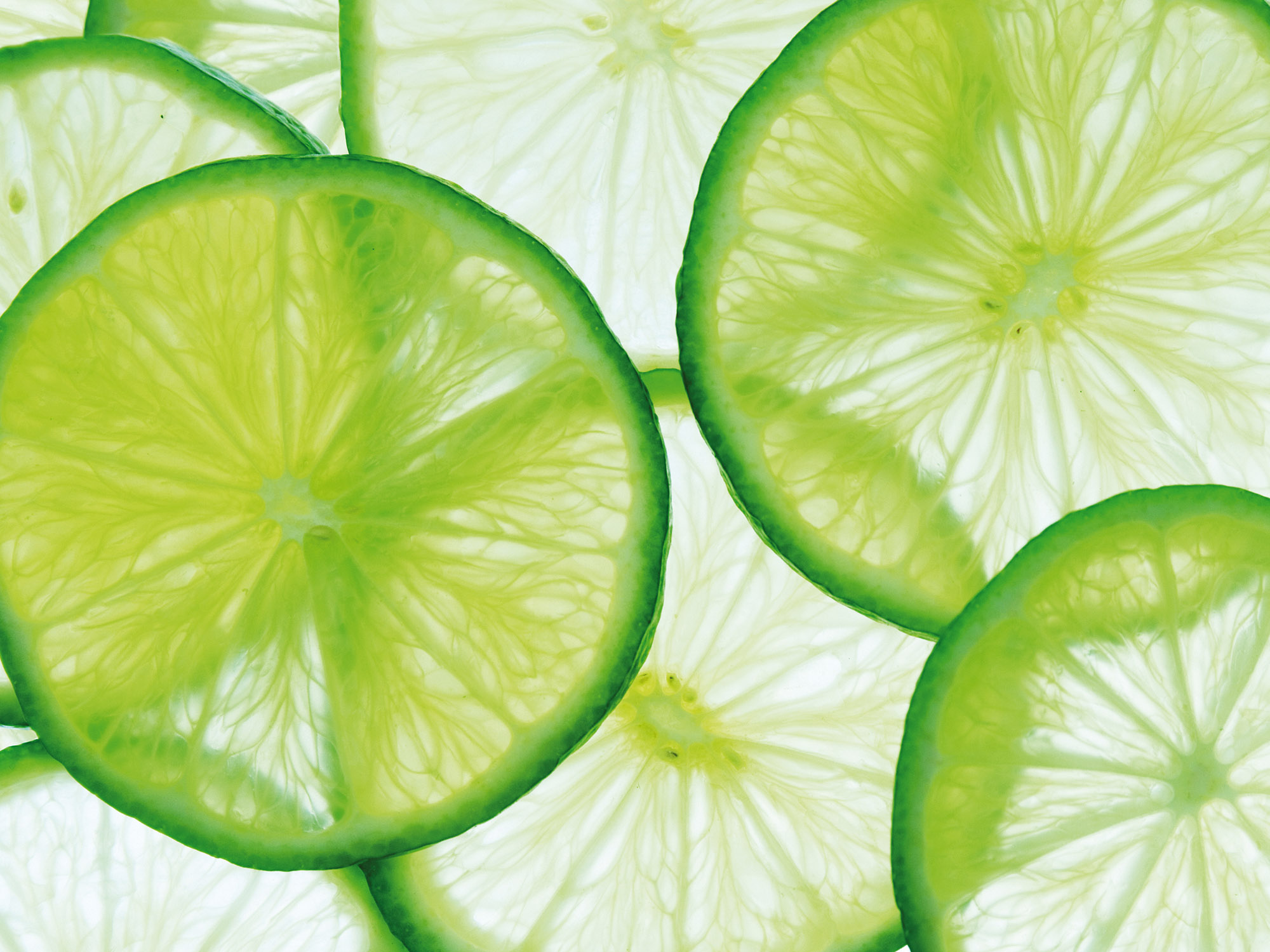 Lime Slices Wallpaper Slice Amazon.com: Hagao Fake Lime Block