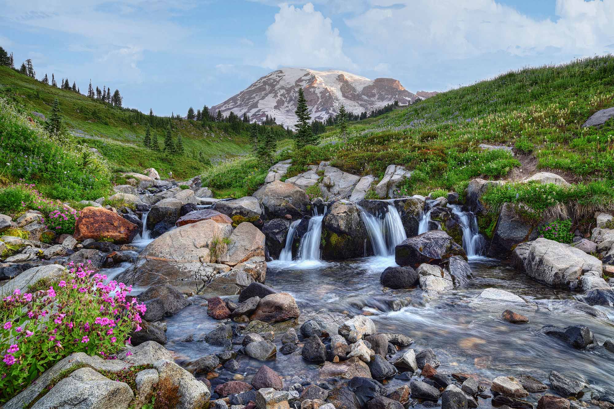 Mount Rainier National Park Wallpaper