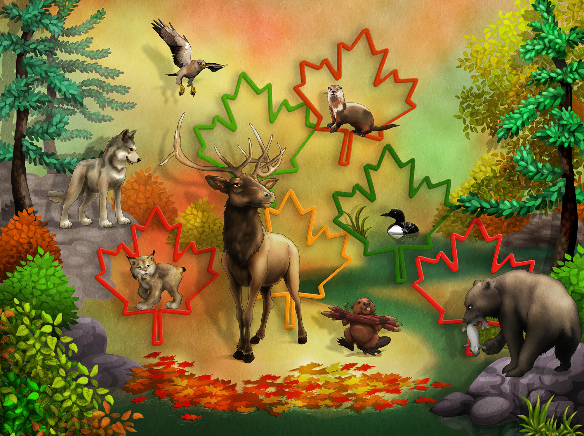 Canadian Wilderness Animals
