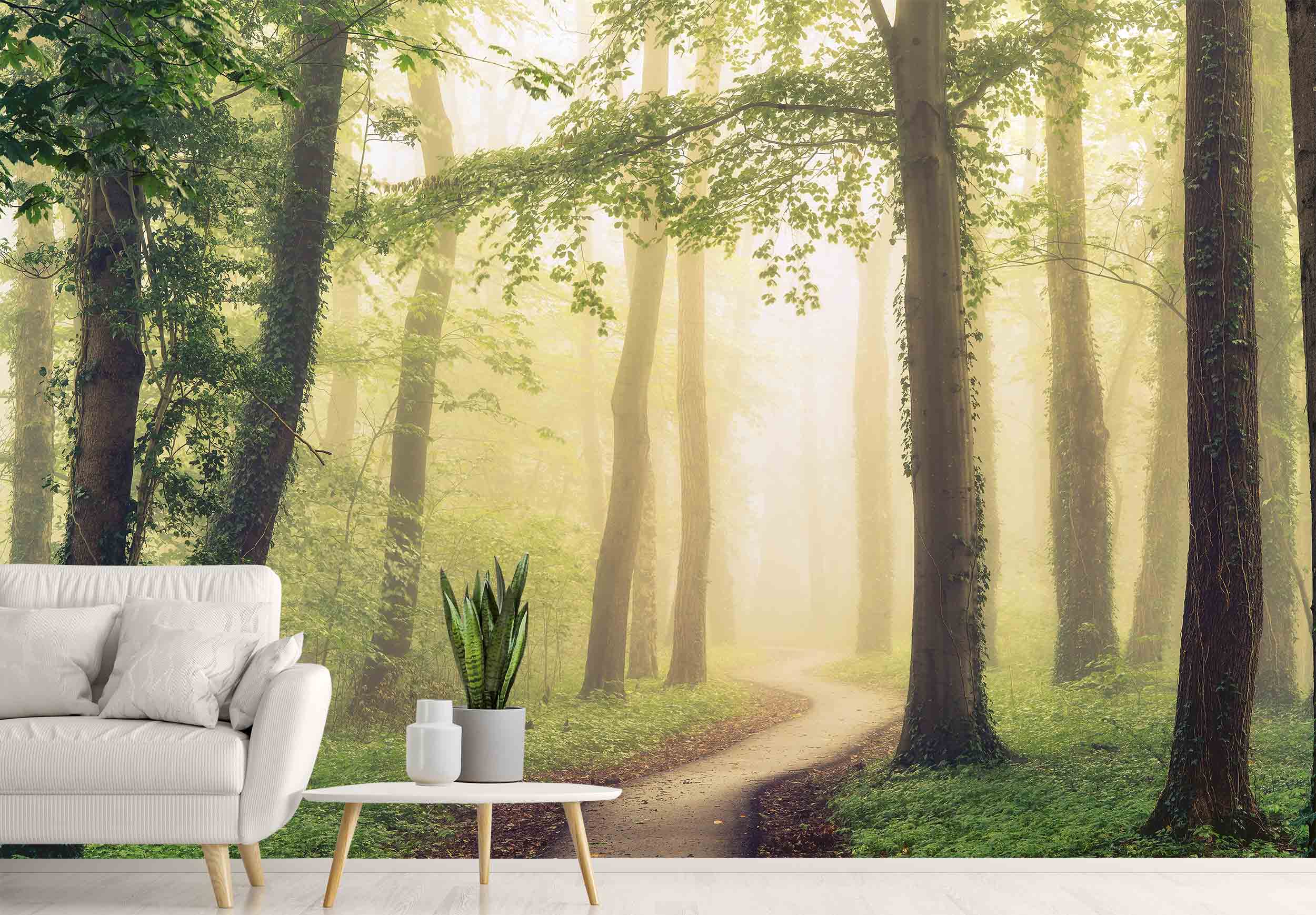 Youwall Forest Path 30k+ Forest Path Pictures | Download Free Images