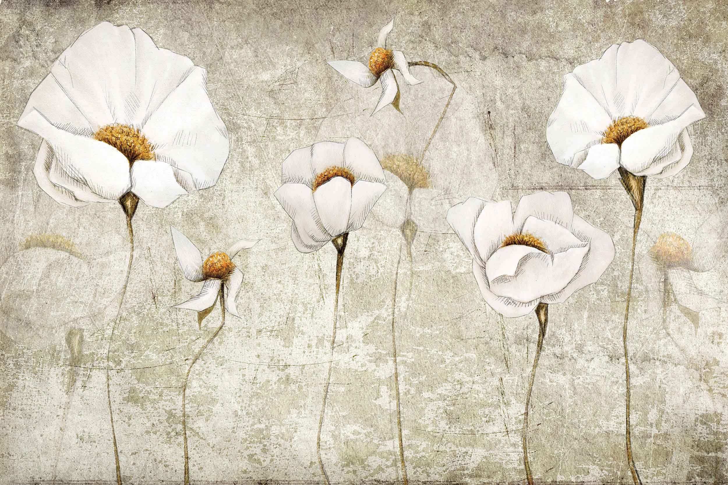 White Poppies Wallpaper