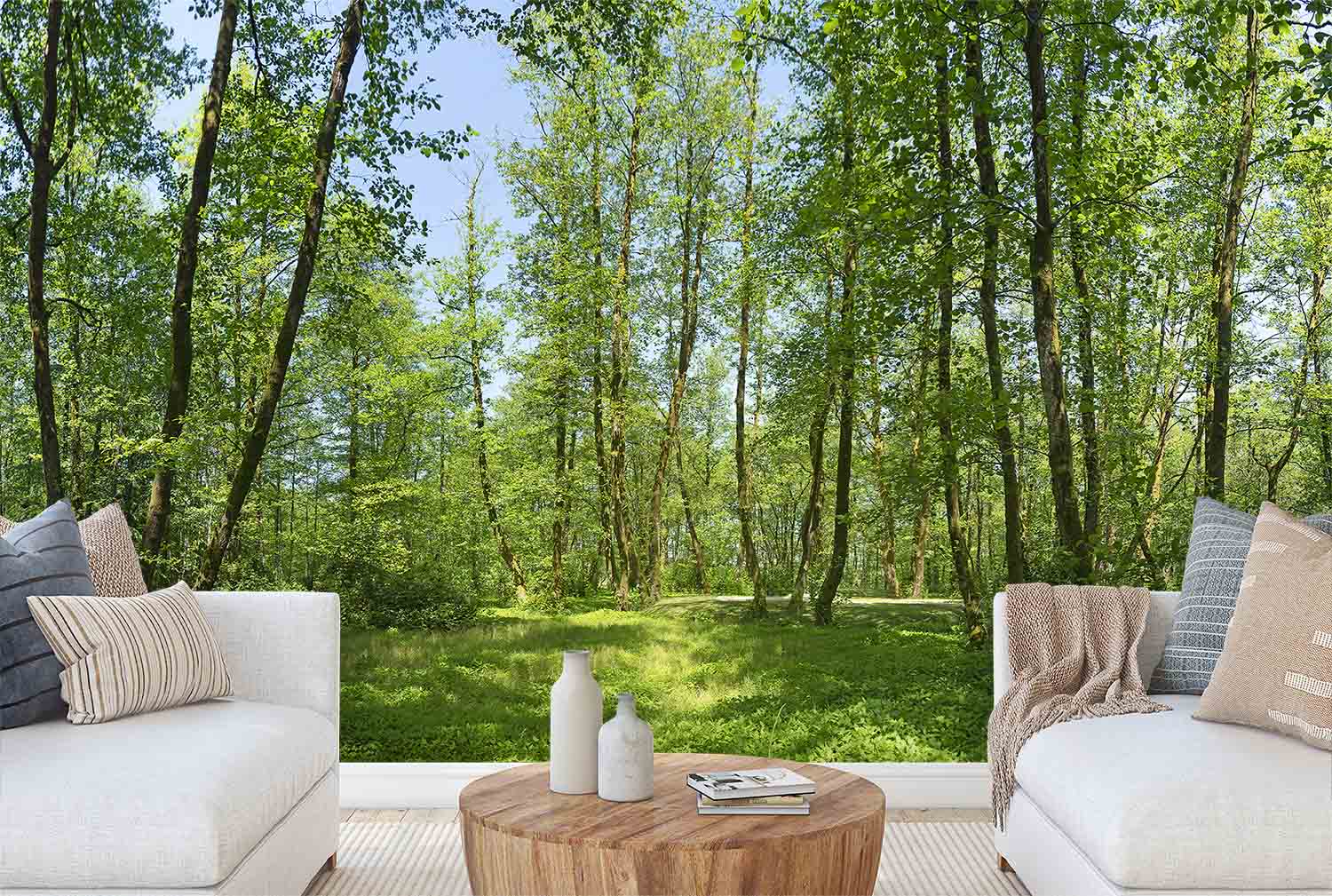 Beautiful Summer Desktop Backgrounds Forest Download Enjoying A