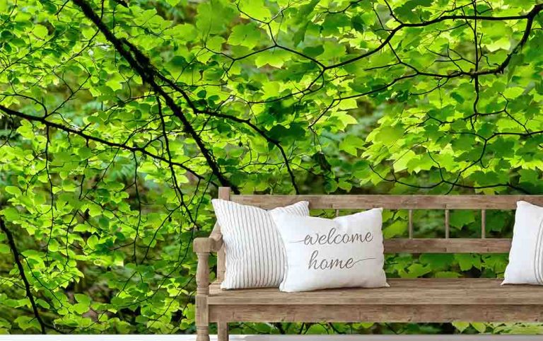 Canopy of Green Leaves | Muralunique