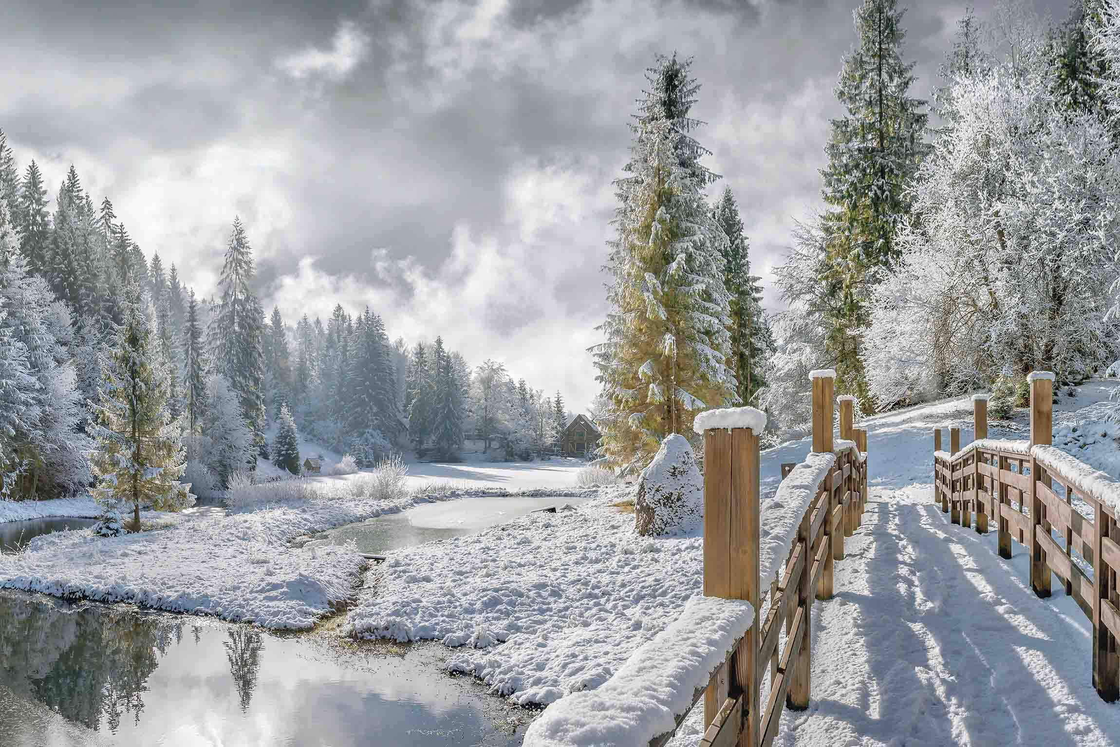 Optical Illusion Wall Murals | Muralunique