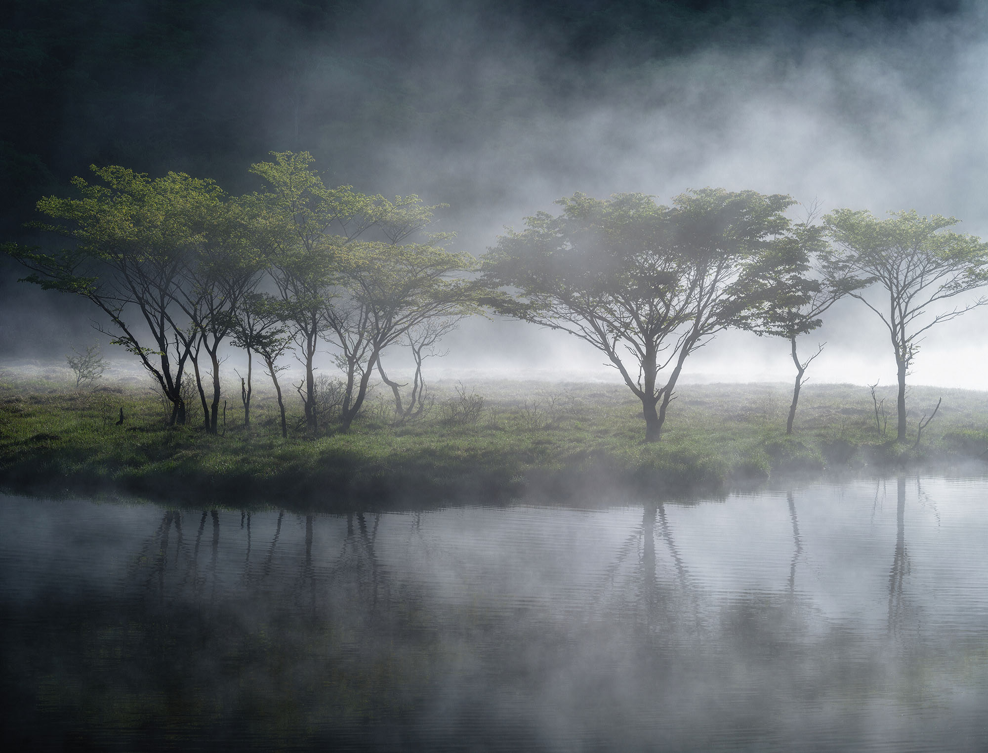 Misty Swamps 1920x1080 Wallpapers 10,800+ Misty Marshes Stock Photos,